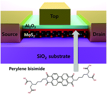 Optimized single-layer MoS2 field-effect transistors by non-covalent ...
