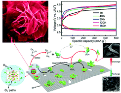 Role of flower-like ultrathin Co3O4 nanosheets in water splitting and ...