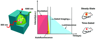 Rare-earth-doped fluoride nanoparticles with engineered long ...