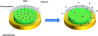 Electrically controlled drug release using pH-sensitive polymer films ...