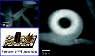 Facile synthesis of WS2 nanotubes by sulfurization of tungsten thin ...