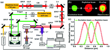 Resolution improvement in STED super-resolution microscopy at low power ...
