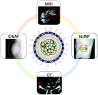 An all-in-one nanoparticle (AION) contrast agent for breast cancer ...