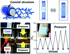 Coaxial struts and microfractured structures of compressible ...