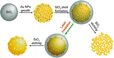 Laser-induced fabrication of porous gold nanoshells - Nanoscale (RSC ...