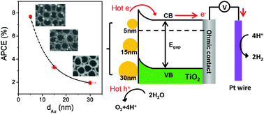 Plasmonic hot carrier-driven oxygen evolution reaction on Au nanoparticles/TiO2 nanotube arrays ...