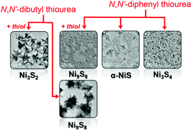 Phase control in the colloidal synthesis of well-defined nickel sulfide ...
