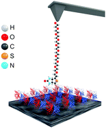 Dynamics of breaking intermolecular bonds in high-speed force ...