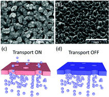 Electrically gated nanoporous membranes for smart molecular flow ...
