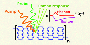 Exciton and phonon dynamics in highly aligned 7-atom wide armchair ...