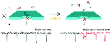 Solid-state nanopore analysis on conformation change of p53TAD–MDM2 fusion protein induced by ...