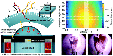 Antireflective structures on highly flexible and large area elastomer membrane for tunable ...