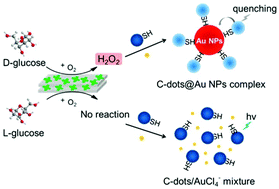 A chiral responsive carbon dots–gold nanoparticle complex mediated by ...