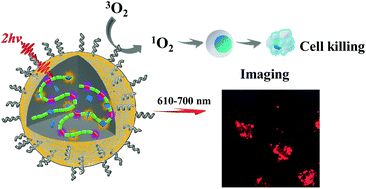 Red emitting conjugated polymer based nanophotosensitizers for ...