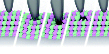 Microtubule self-healing and defect creation investigated by in-line ...