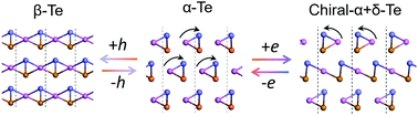 Charge-governed phase manipulation of few-layer tellurium - Nanoscale ...