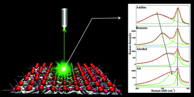 A Raman spectral probe on polar w-ZnS nanostructures and surface ...