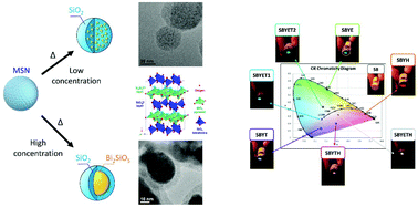 Bi2SiO5@g-SiO2 upconverting nanoparticles: a bismuth-driven core–shell ...