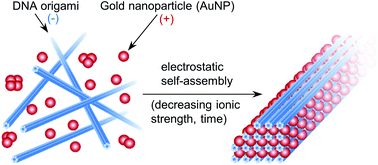 DNA origami directed 3D nanoparticle superlattice via electrostatic ...