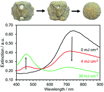 Photothermal transformation of Au–Ag nanocages under pulsed laser ...