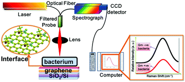 A new device concept for bacterial sensing by Raman spectroscopy and ...