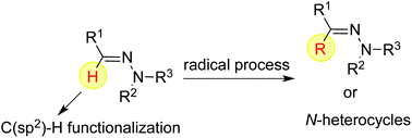 C(sp2)–H functionalization of aldehyde-derived hydrazones via a radical ...