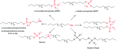 Synthesis And Properties Of A Phosphate Ester As Curing