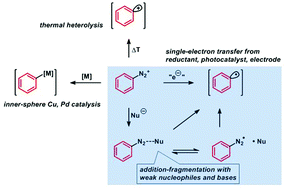 Aromatic substitutions of arenediazonium salts via metal catalysis ...