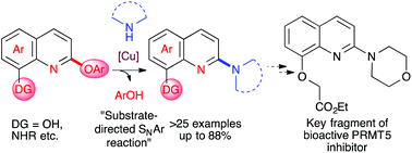 Chelation-assisted de-aryloxylative amination of 2-aryloxy quinolines ...