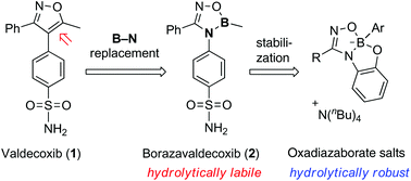 Valdecoxib vs. borazavaldecoxib: isoxazole BN/CC isosterism as a case ...