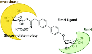 Bifunctional mannoside–glucosinolate glycoconjugates as enzymatically ...