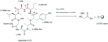 Total synthesis of the proposed structure of talarolide A - Organic ...