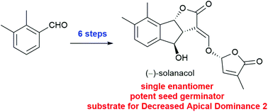 Enantioselective total synthesis and biological evaluation of (− ...