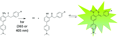 o-Nitrobenzyl photoremovable groups with fluorescence uncaging ...