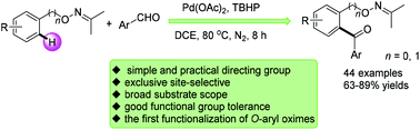 Palladium-catalyzed direct mono-aroylation of O-arylmethyl and aryl ...
