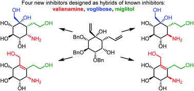 Divergent synthesis of new α-glucosidase inhibitors obtained through a ...