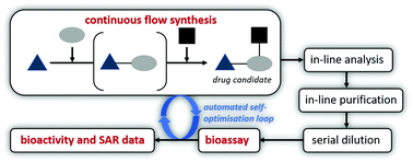 Integrating continuous flow synthesis with in-line analysis and data ...