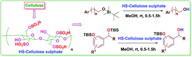 Highly sulphated cellulose: a versatile, reusable and selective ...