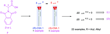Chiral sensors for determining the absolute configurations of α-amino ...