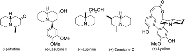 Direct and highly stereoselective synthesis of quinolizidine ...