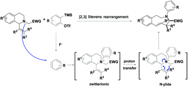 A concise synthesis of (E)-3-aryl-2,3,4,5-tetrahydro-1H-3-benzazonines ...