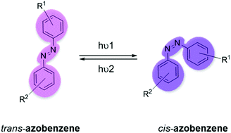 Azobenzene-based small molecular photoswitches for protein modulation ...
