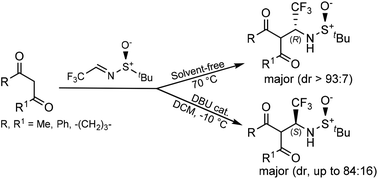 Mannich-type addition of 1,3-dicarbonyl compounds to chiral tert ...
