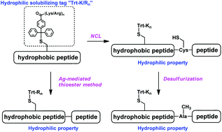The versatile use of solubilizing trityl tags for difficult peptide ...