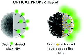 Controlled assembly of metal colloids on dye-doped silica particles to ...