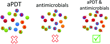 A combination of photodynamic therapy and antimicrobial compounds to ...