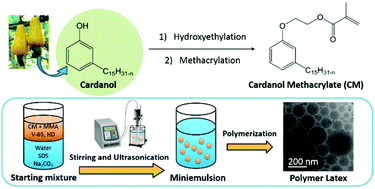 Cardanol-based polymer latex by radical aqueous miniemulsion ...