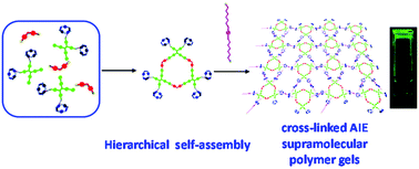 Cross-linked AIE supramolecular polymer gels with multiple stimuli-responsive behaviours ...