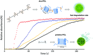 Synthesis of aromatic-doped polycaprolactone with tunable degradation ...