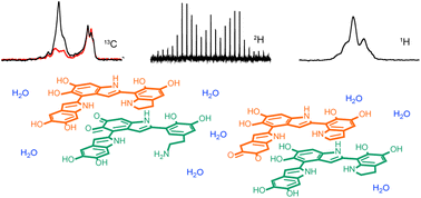 Closer to the polydopamine structure: new insights from a combined 13C ...